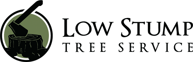Arborist in Park City - Tree Company - Low Stump Tree Service