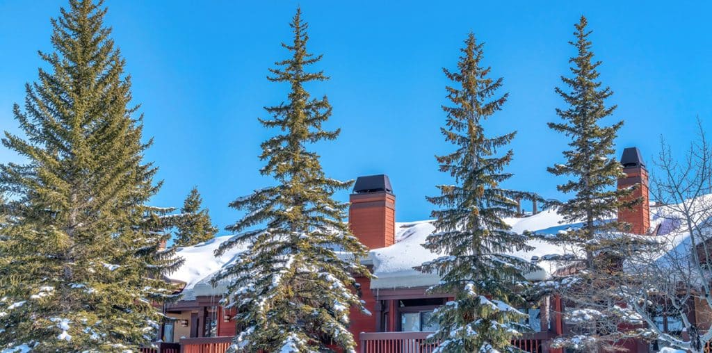 A Healthy Tree is a Happy Tree: The Importance of Comprehensive Tree ...